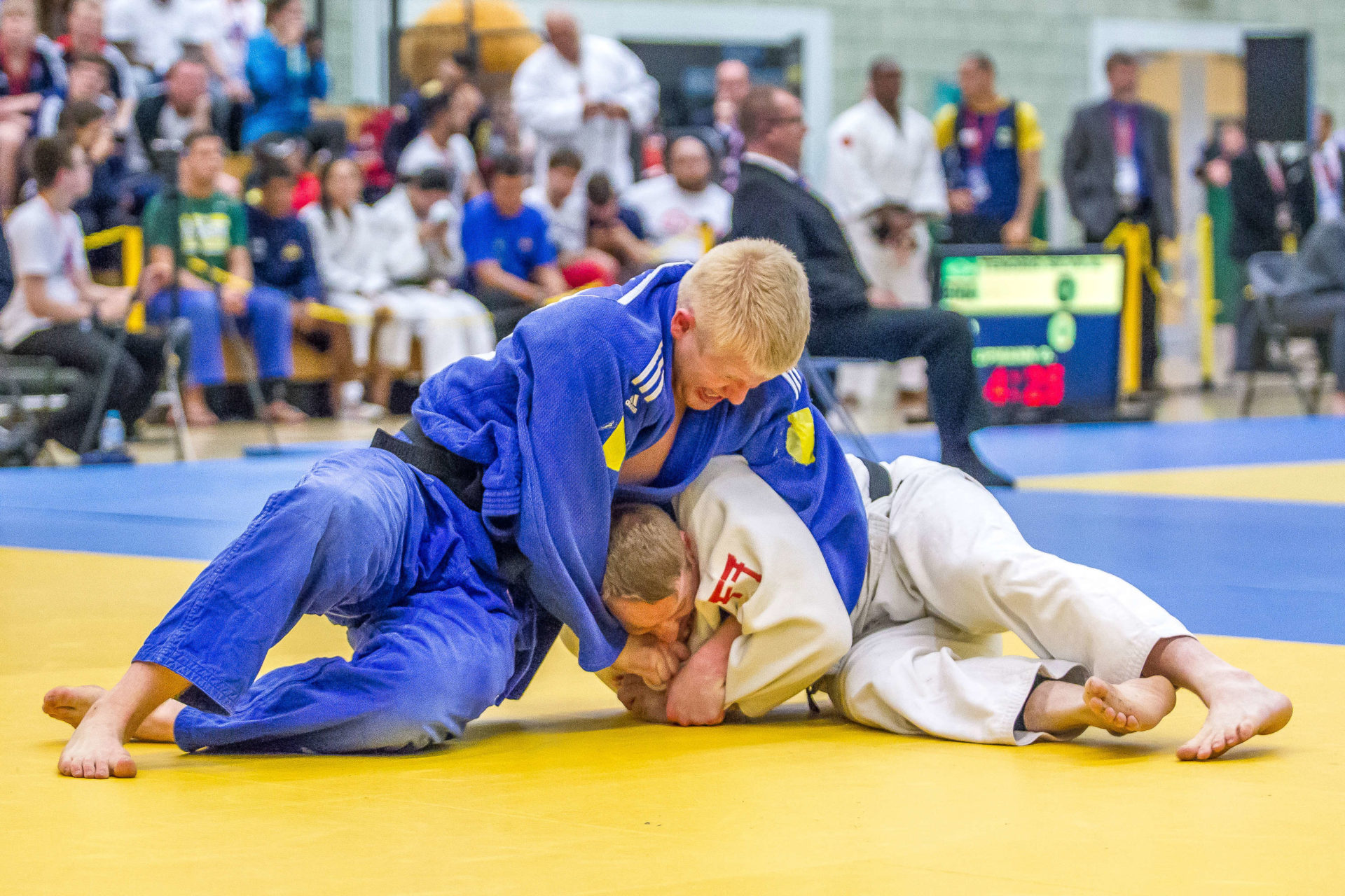LANDFLIGHT PROVIDES THE DRIVE FOR EUROPEAN CHAMPIONSHIP JUDO ...